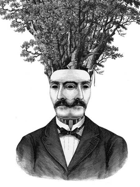 I need a guide: dan hillier # update